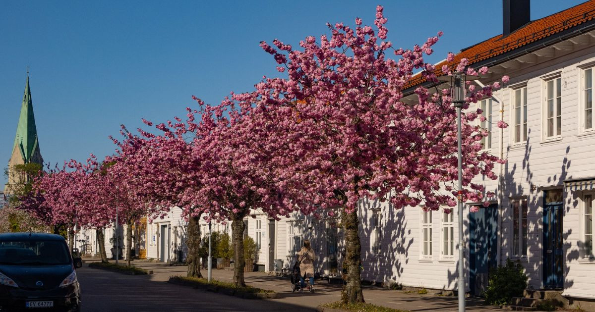Turist i egen by - Kristiansand 2023 | Kristiansand er
